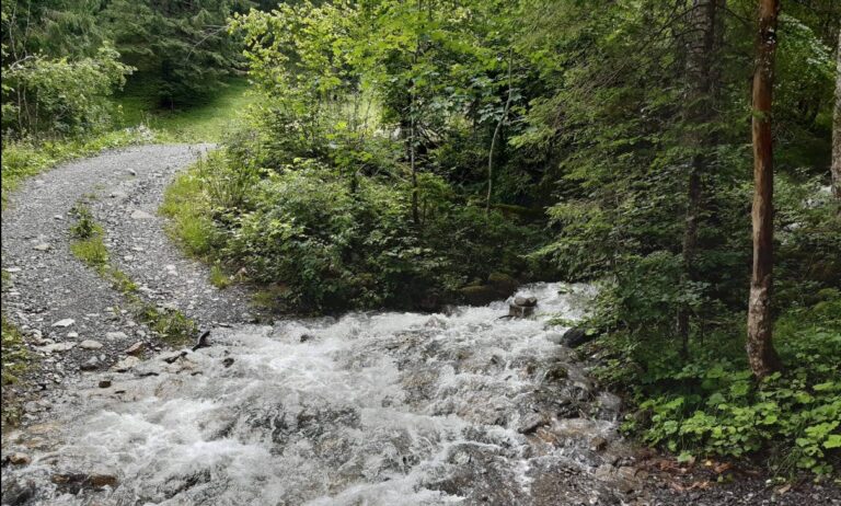 Your Guide to Cascade sur Bayard - Get Inspired